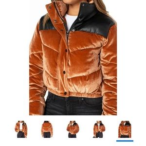 Celebrity Pink | Jackets & Coats | Caramel Brown Velvet Puffer Jacket ...